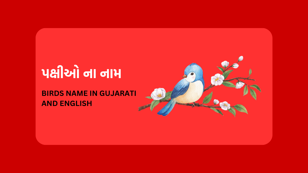 પક્ષીઓ ના નામ | Birds Name in Gujarati and English - Gujarati Gyan