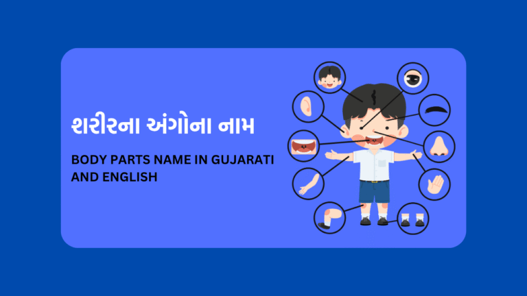 શરીરના અંગોના નામ | Body Parts Name In Gujarati and English - Gujarati Gyan